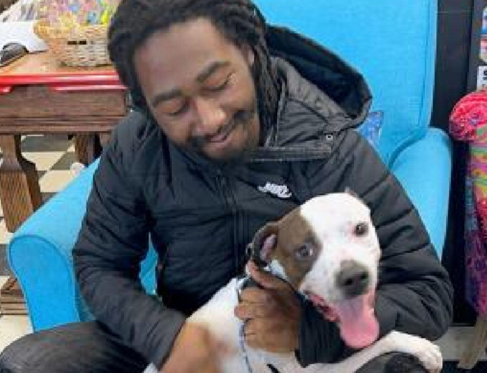 High-Flying Support: How a Movie Night Fundraiser for Famous Fido ...